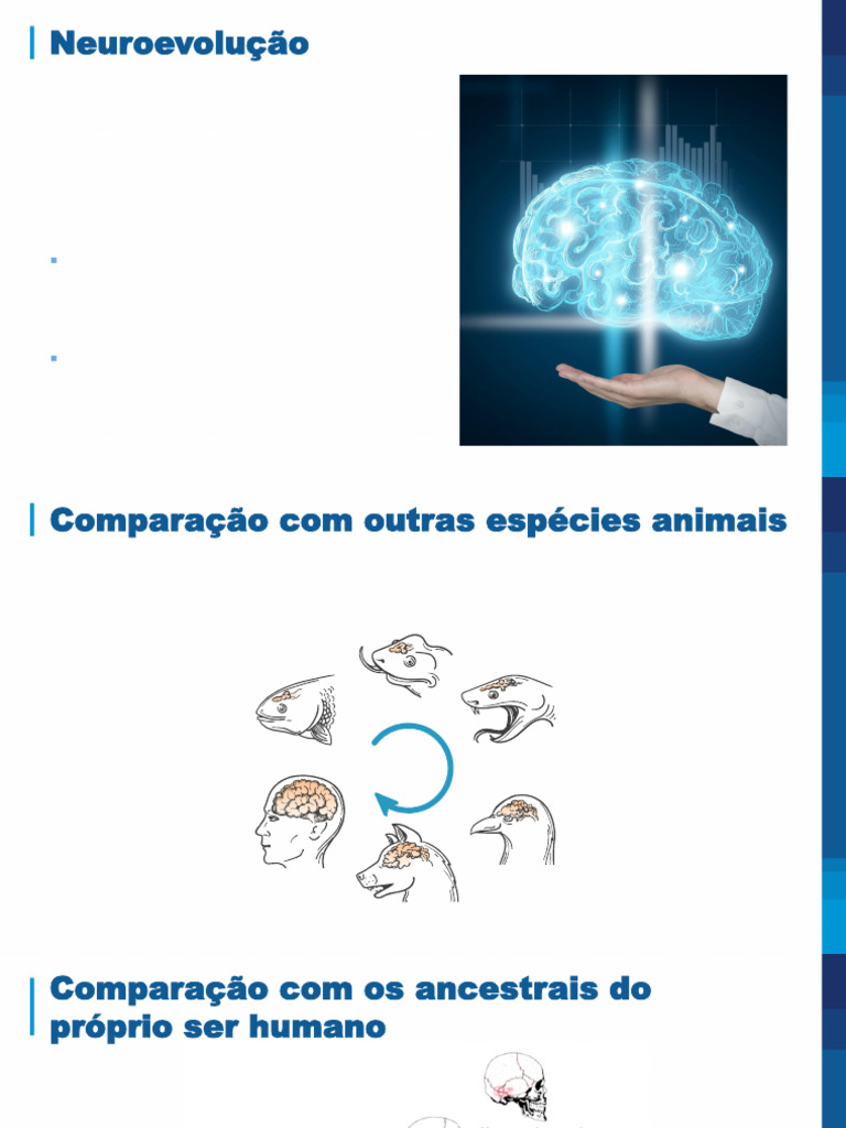 m1 U2 o Cerebro Triuno Conceituacao Desconstrucao | PDF | Cérebro | Humano