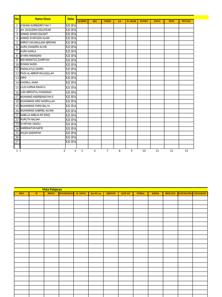 Raport Asts Xii Ipa | PDF