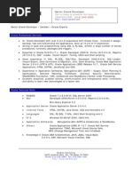 CEMLI Process Description | PDF | Oracle Database | Scripting Language