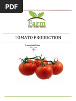 Butternut Production Guide for Zimbabwe | PDF | Fertilizer | Soil