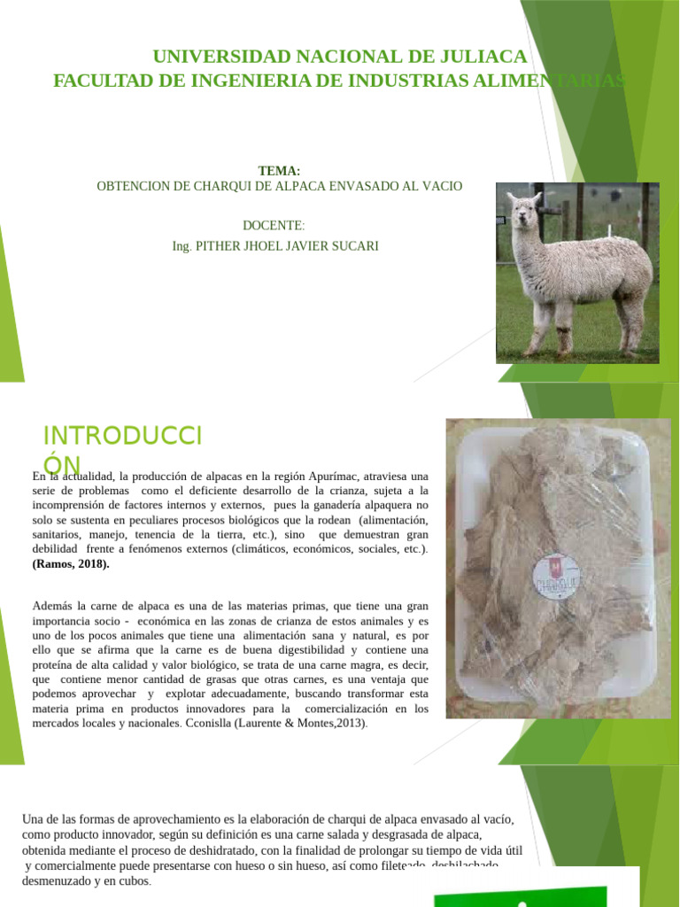 Elaboracion de Charqui Chalona de Alpaca | PDF | Carne | sal