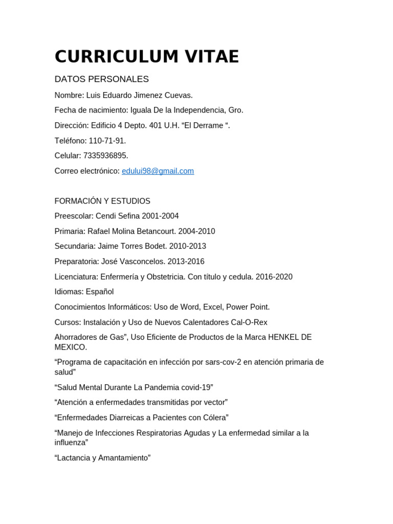 Curriculum Vitae Luis Eduardo | PDF
