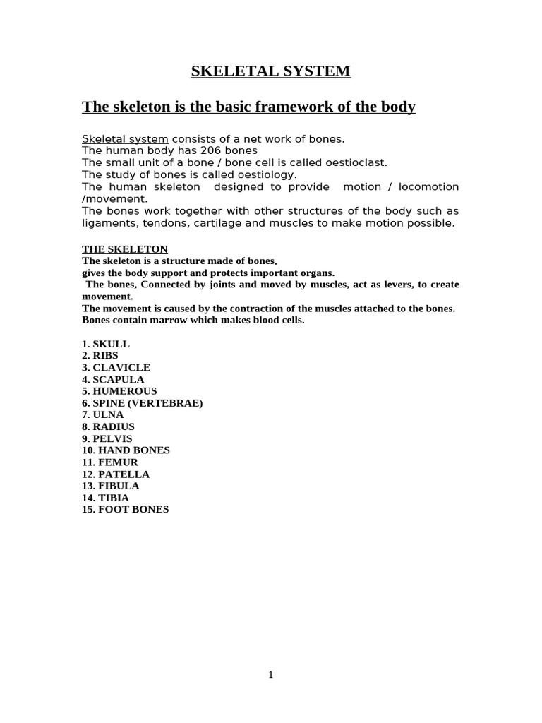 SKELETAL system | PDF | Anatomical Terms Of Motion | Skeleton