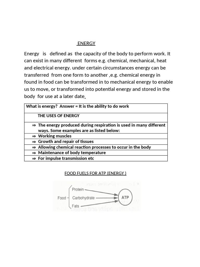 ENERGY SYSTEMS | PDF | Cellular Respiration | Adenosine Triphosphate