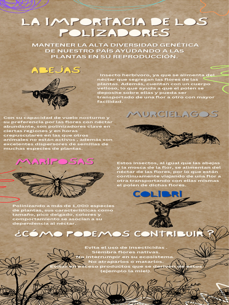 La Importancia de Los Polinizadores | PDF