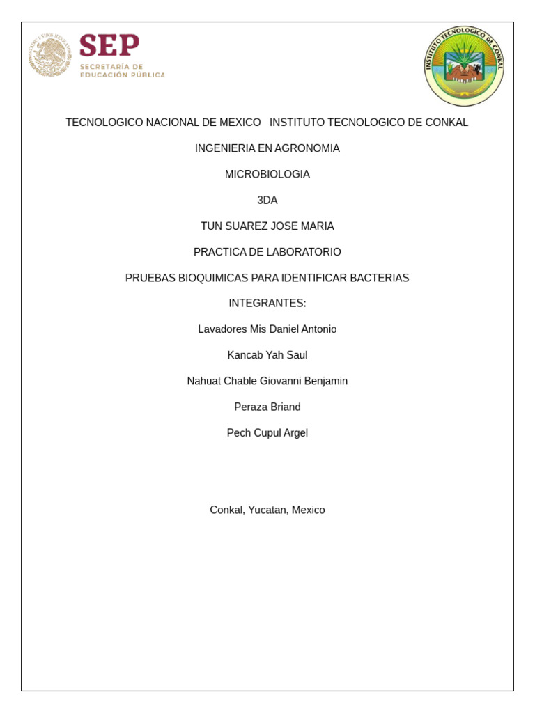 Pruebas Bioquimicas para Identificar Bacterias | PDF | Bacterias Gram-negativo | Bacterias Gram ...