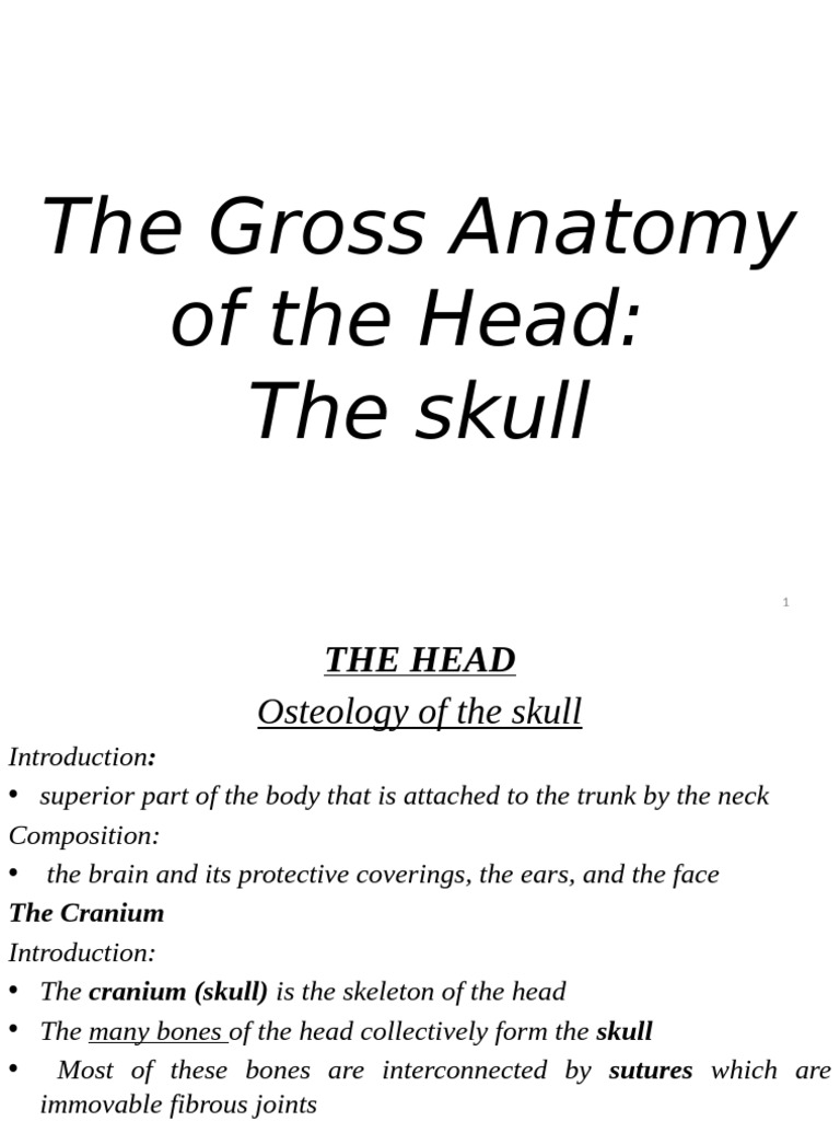 Gross Anatomy of The Head and Neck | PDF | Skull | Human Nose