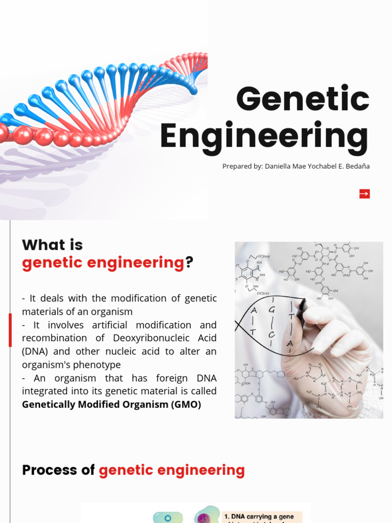 Lesson 6 Genetic Engineering | PDF | Genetics | Genetic Engineering