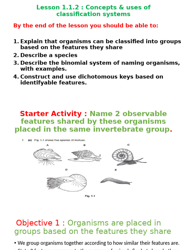 Year 10, Week 2, Term 1 | PDF | Cell (Biology) | Bacteria