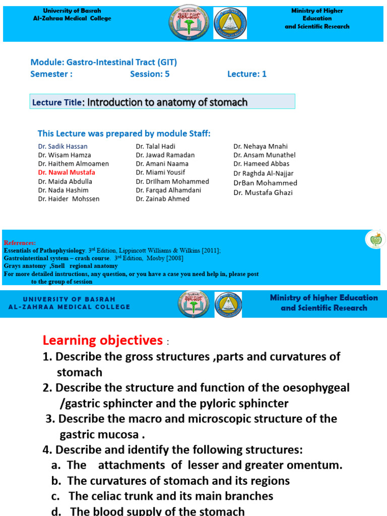 S5 L1 Stomach | PDF | Esophagus | Stomach