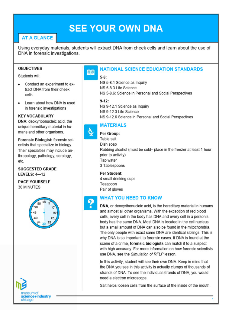 See Your Own DNA Lesson | PDF | Cell (Biology) | Teaspoon