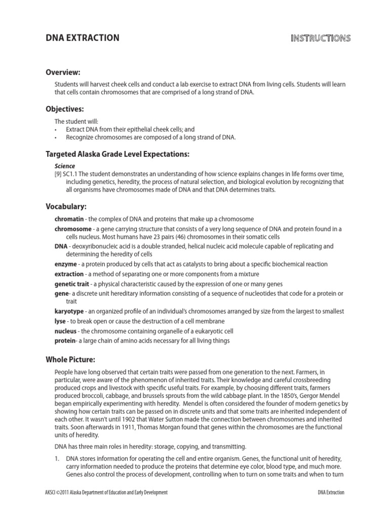 Cheek Cell DNA Extraction Lab Guide | PDF | Dna | Gene