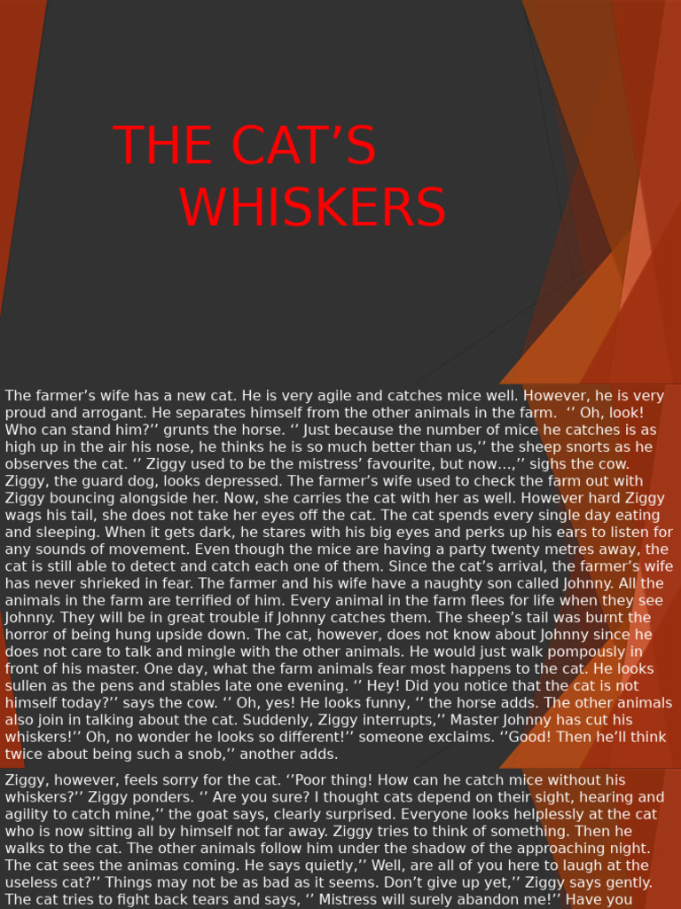 story cat's whiskers | PDF | Cats