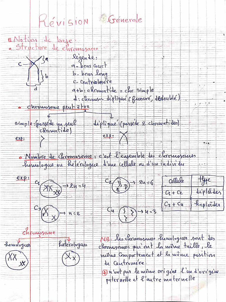 Révision Générale | PDF