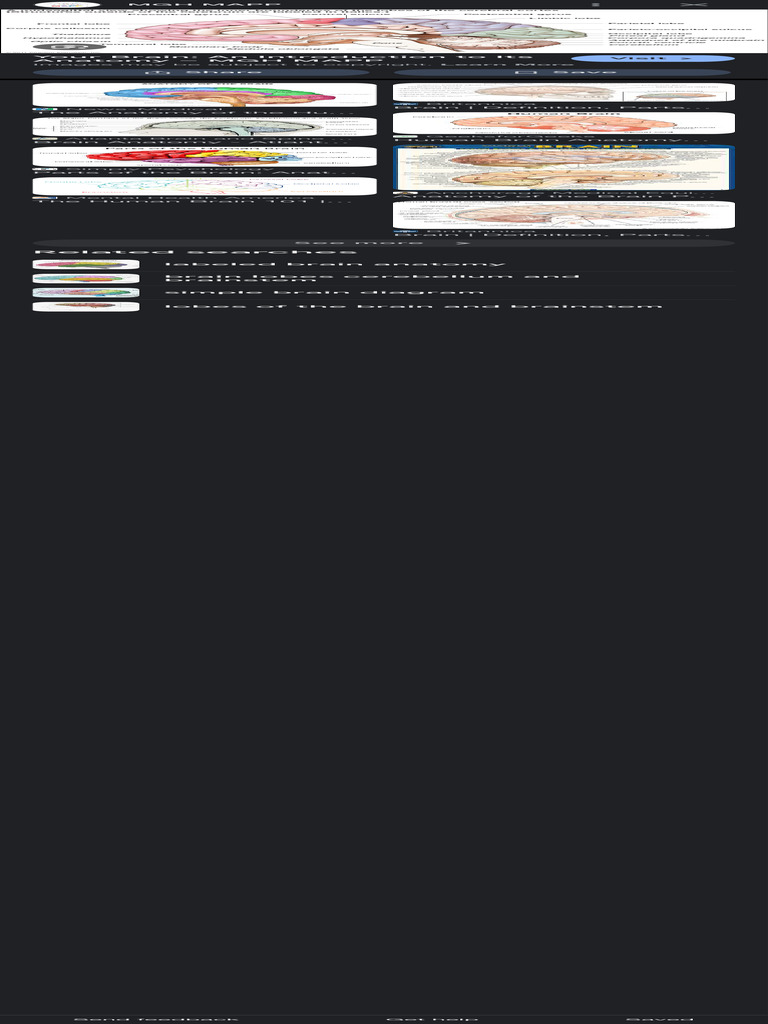 The Brain - Google Search | PDF