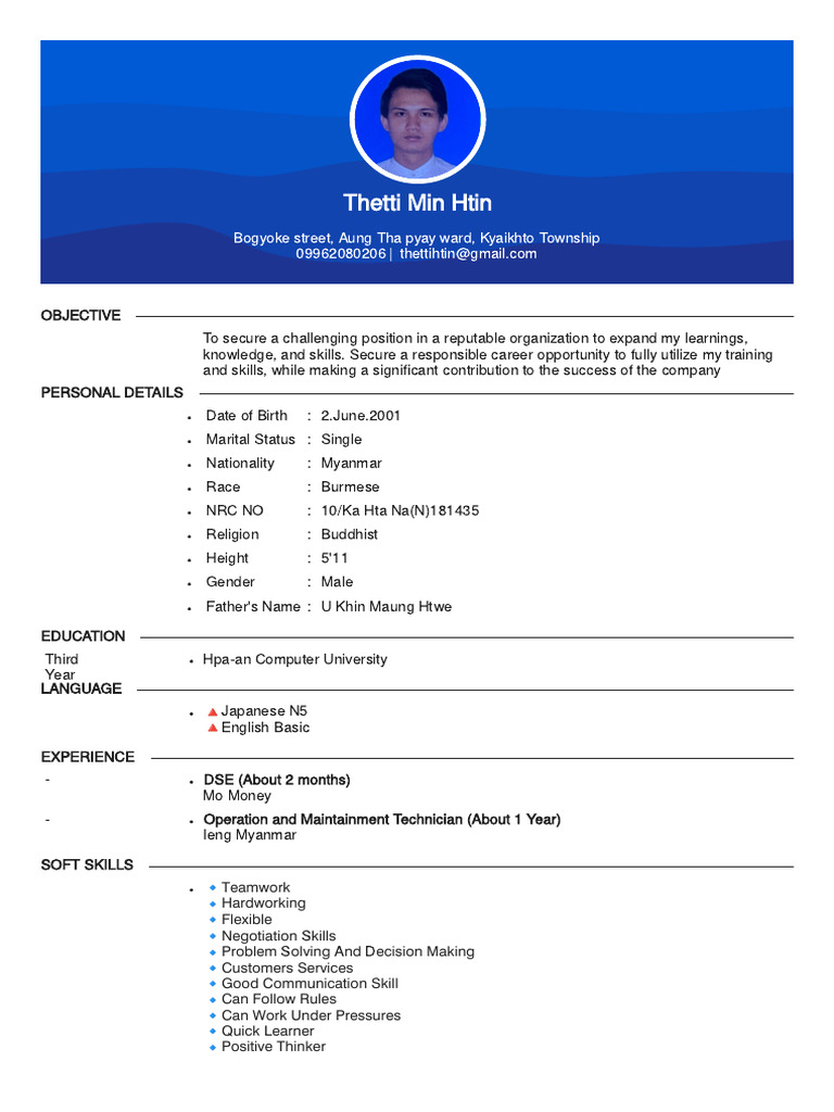 Thetti Min Htin - CV | PDF