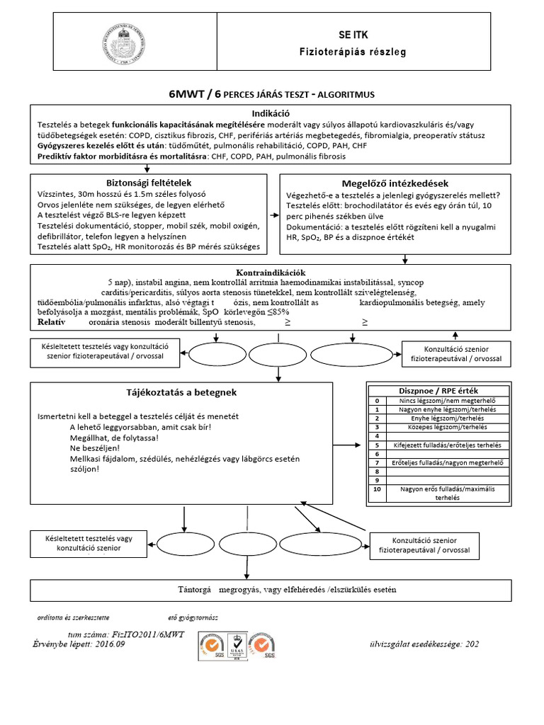FizITO 6MWT 2024 | PDF