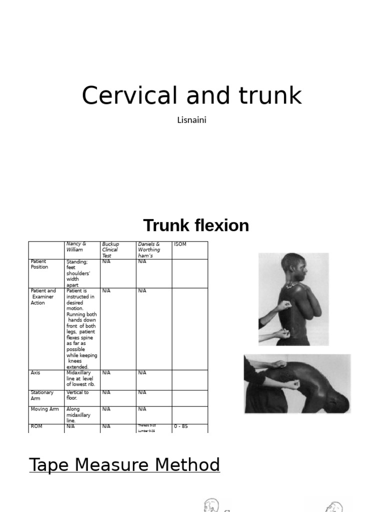 Cervical and Trunk | PDF | Anatomical Terms Of Motion | Vertebra