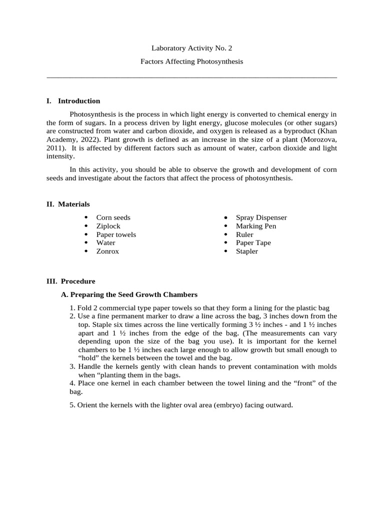 LabActivity Photosynthesis | PDF | Photosynthesis | Seed