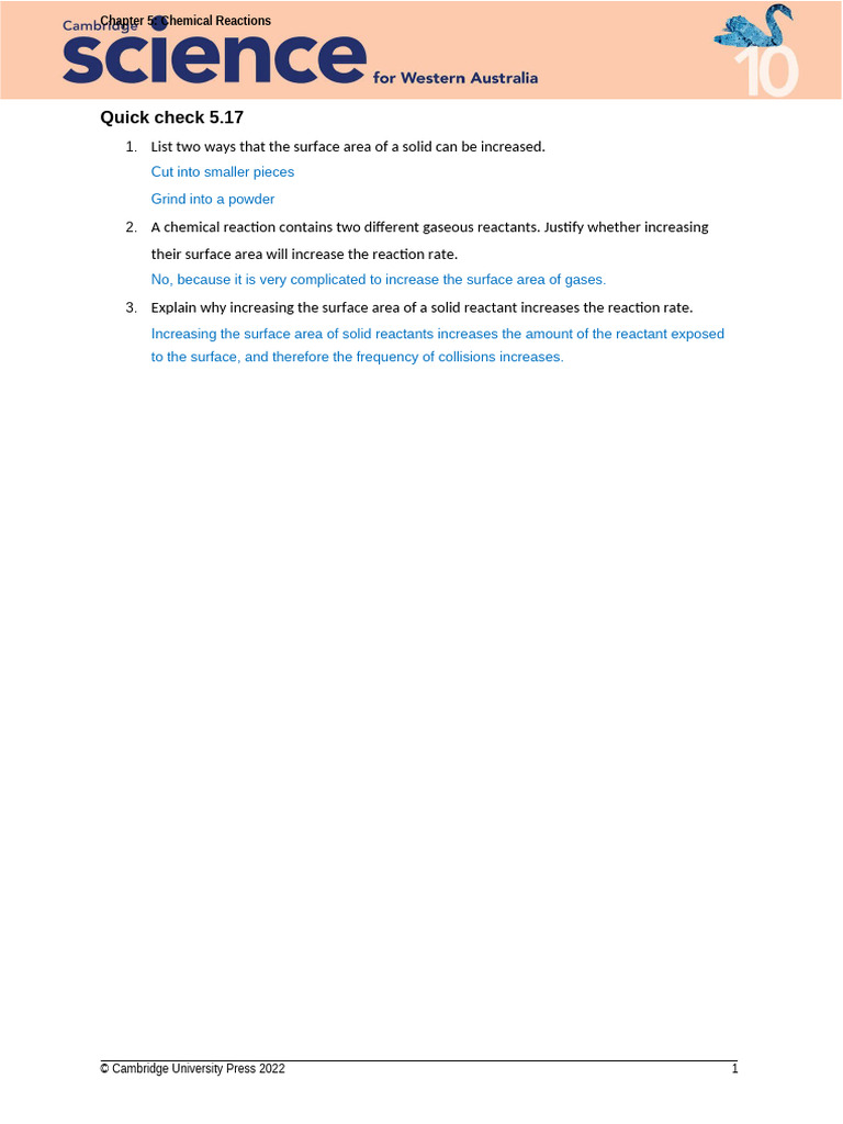 Surface Area & Reaction Rates | PDF
