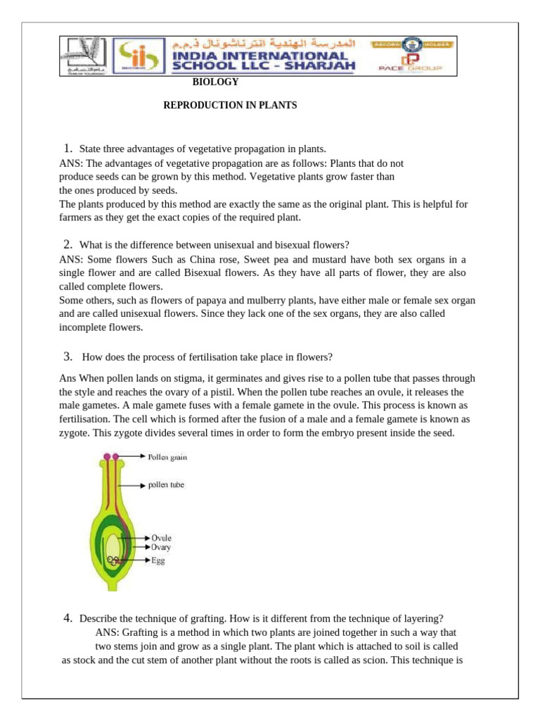 REPRODUCTION IN PLANTS NOTES | PDF | Flowers | Sex