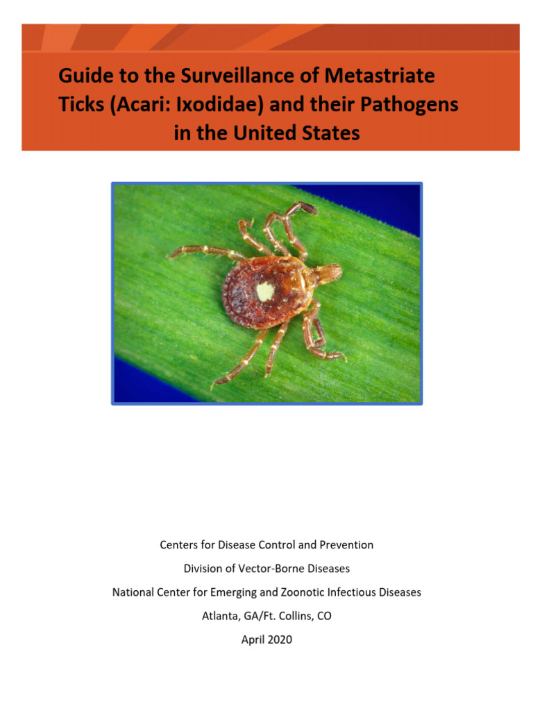 Tick Surveillance-P | PDF | Microbiology
