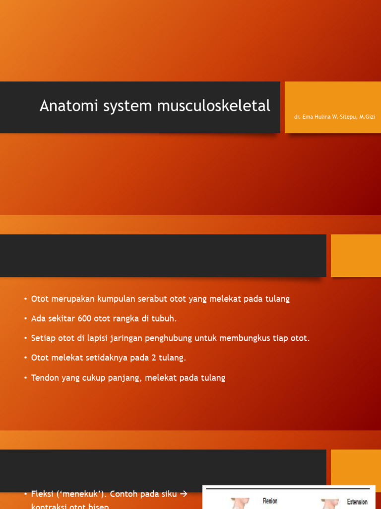 9. Anatomi sistem muskuloskeletal | PDF