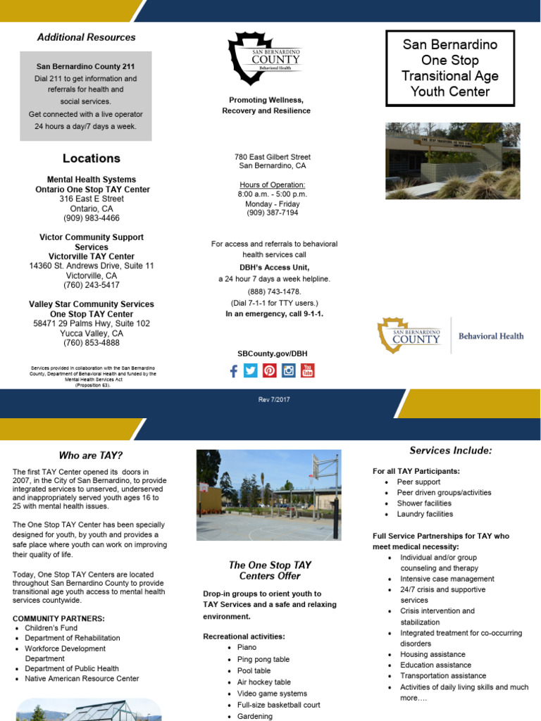 One Stop TAY Centers for Youth Mental Health | PDF | Psychology ...
