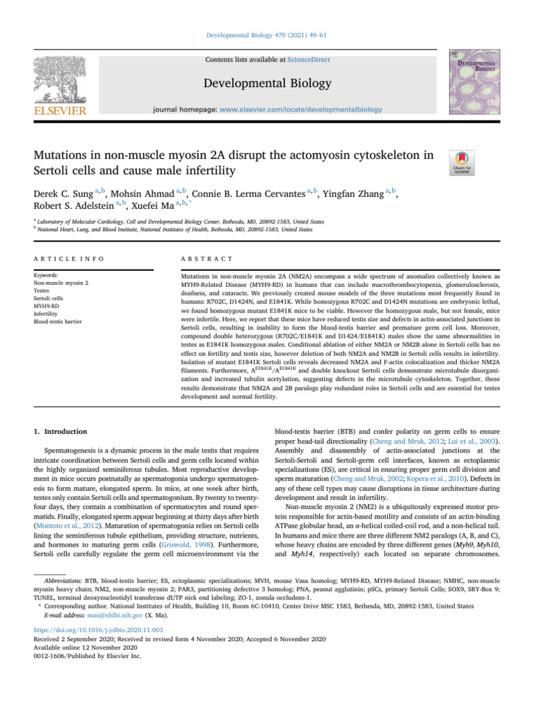 Mutations in Non Muscle Myosin 2A Disrupt The Actomyosin Cyt - 2021 - Developmen | PDF ...