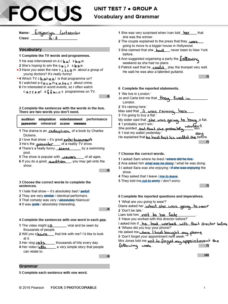 Vocabulary and Grammar Unit Test | PDF