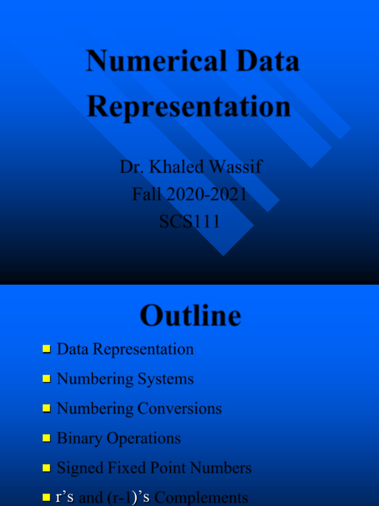 W - Numerical Data Representation | PDF | Computer Architecture | Arithmetic