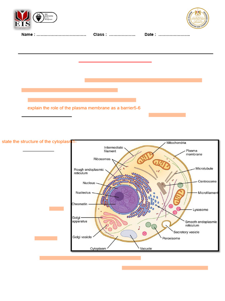 Cell Structures and Functions | PDF | Cell (Biology) | Cell Nucleus