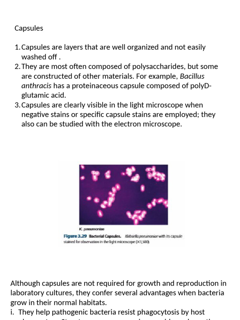 Glycocalyx, Slime Layer, Capsule and S Layer | PDF | Bacteria | Biofilm