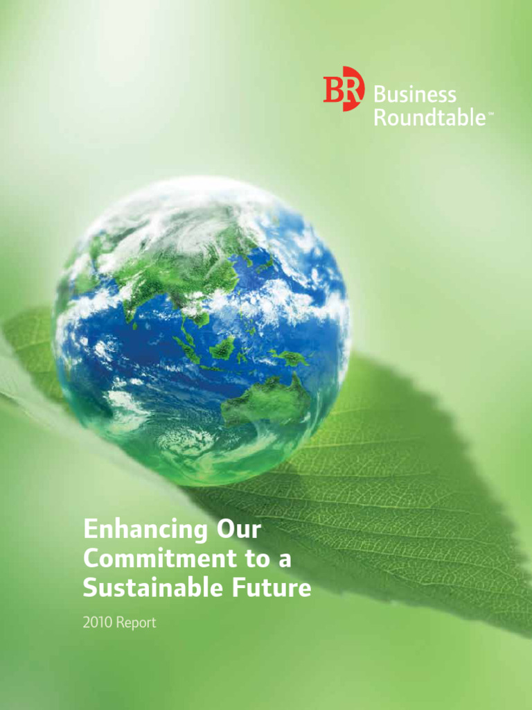 Enhancing Our Commitment To A Sustainable Future | PDF | Efficient ...