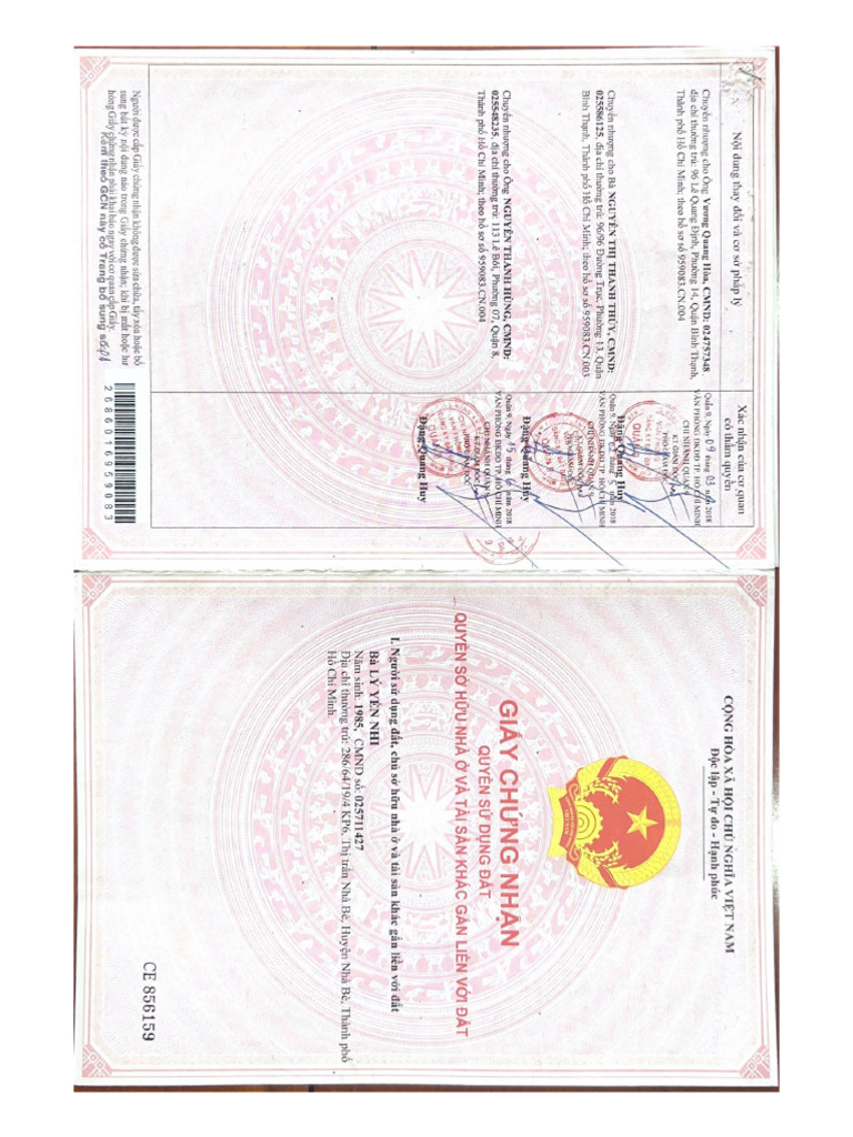 So Do Truong Luu | PDF