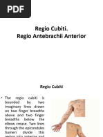 Patient-Scale POSAS-3.0 Generic-Scar English | PDF | Paresthesia | Medicine