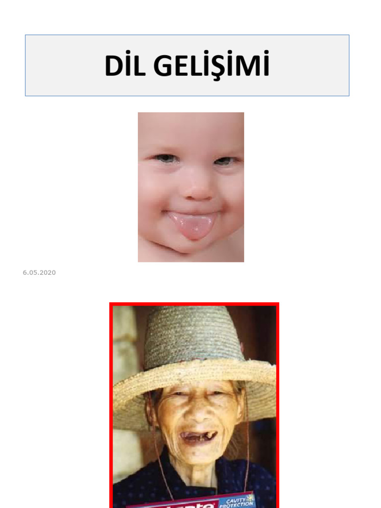 Dil Gelişimi-Ders 5 | PDF