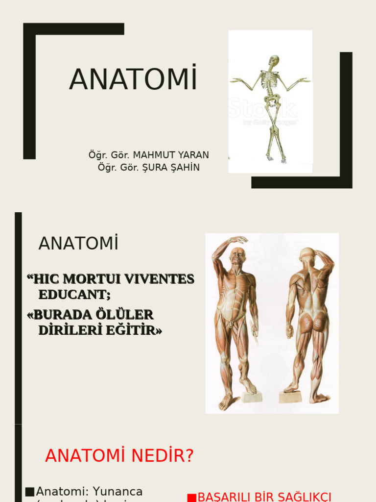 1 Anatomi̇ye Gi̇ri̇ş | PDF