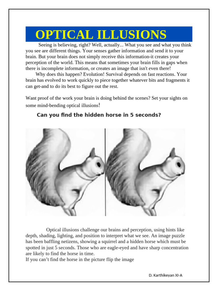 Optical Illusions Pdf Career Growth Self Improvement