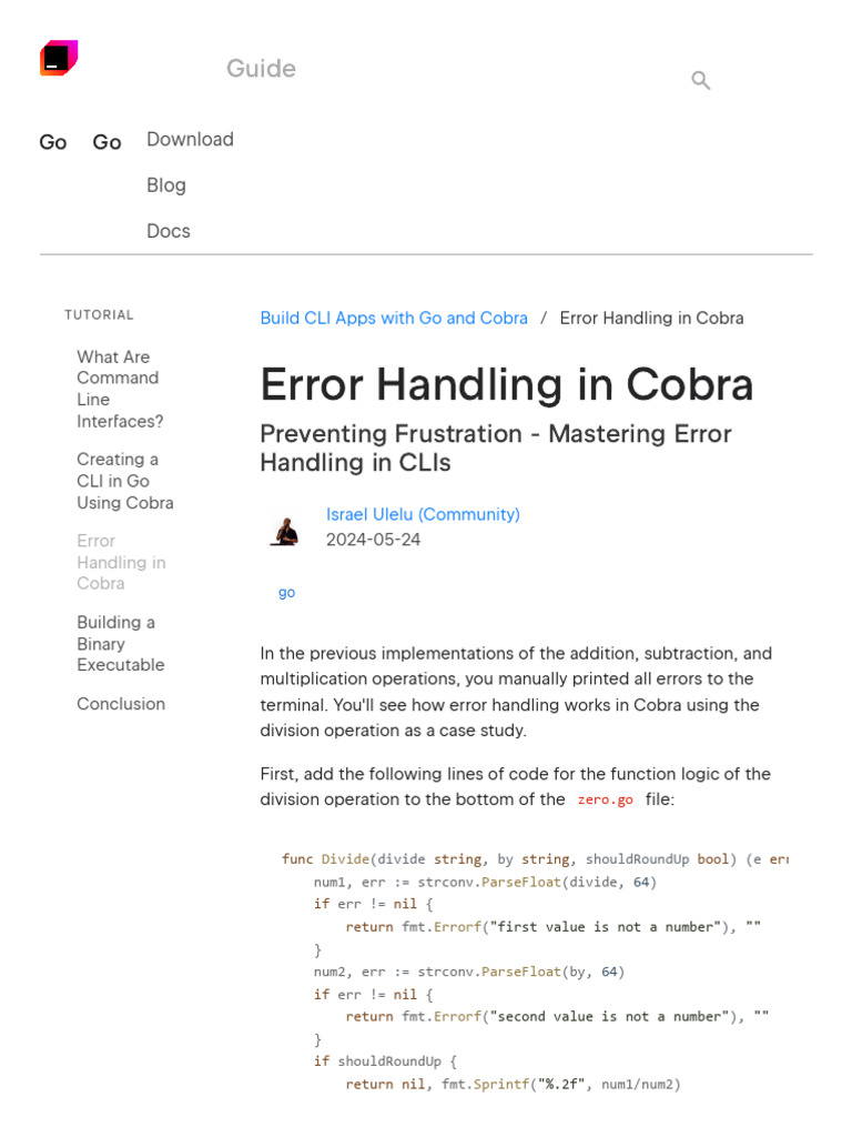 Error Handling in Cobra - JetBrains Guide | PDF | Command Line Interface | Computer Engineering