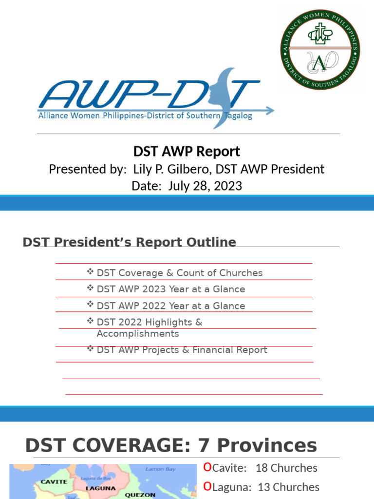 DST AWP Report - CY2024 | PDF