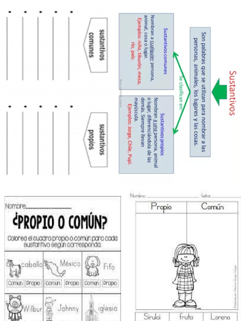 sustantivos propios y comunes 2° | PDF