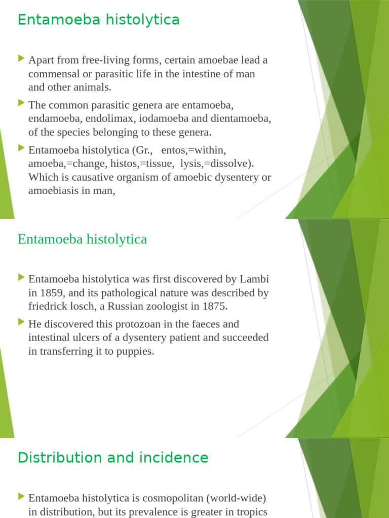 Protozoa Pathogenic Parasites Lecture | PDF | Malaria | Microbiology