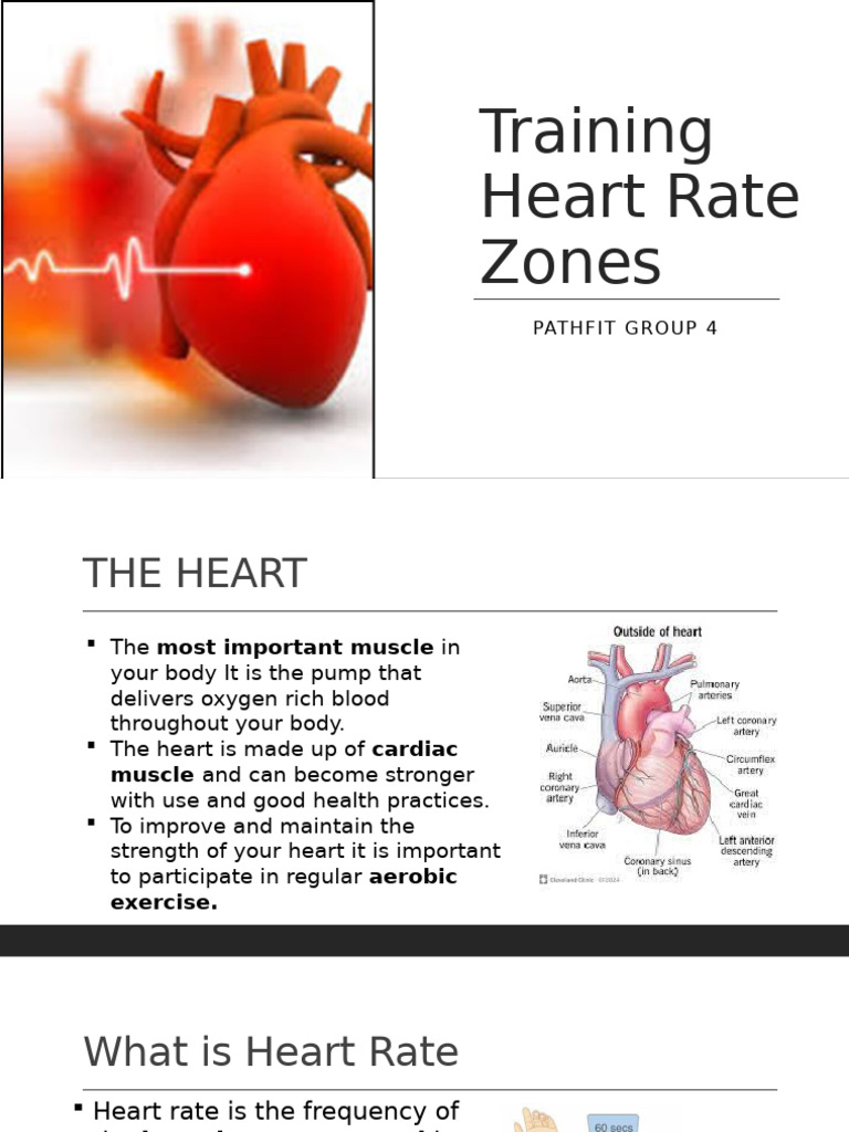 Understanding Heart Rate for Fitness | PDF | Heart Rate | Heart