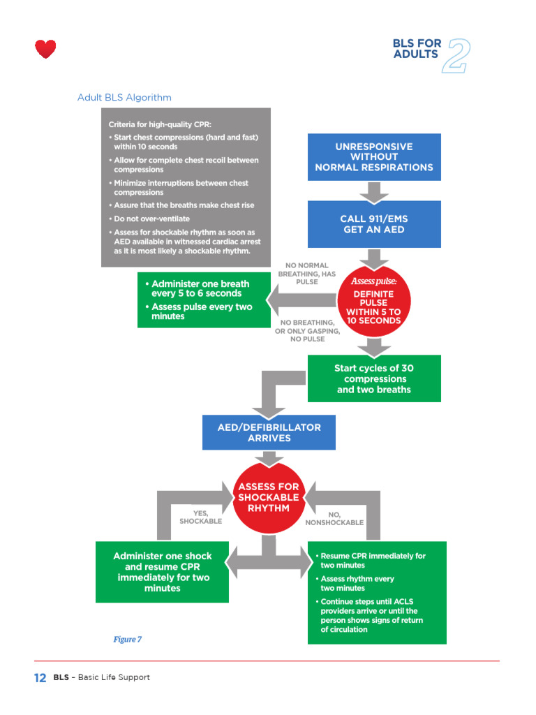ACLS Advanced Cardiac Life Support, Manual Del Proveedor 2020 2025-3 ...