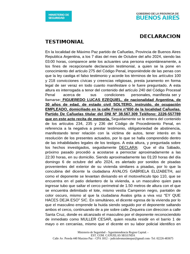Declaración Testimonial | PDF