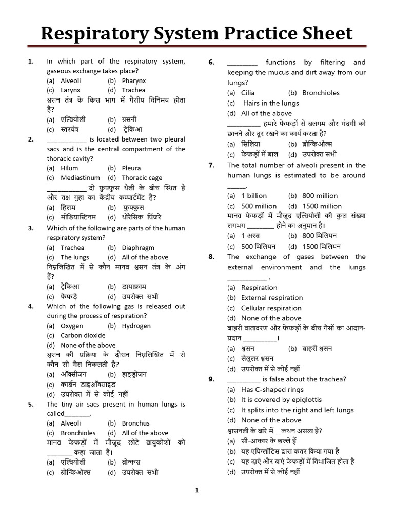 077_BIOLOGY_RESPIRATORY_SYSTEM_Respiratory_System_Practice_ | PDF