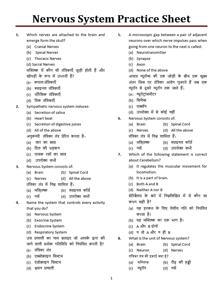 074 BIOLOGY Nervous System Nervous System Practice Sheet | PDF