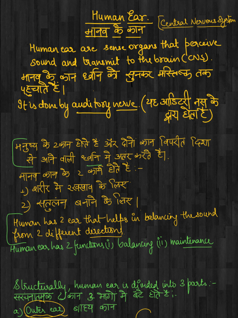 091) (BIOLOGY) (Sense Organs) Human Ear (Class Notes) | PDF