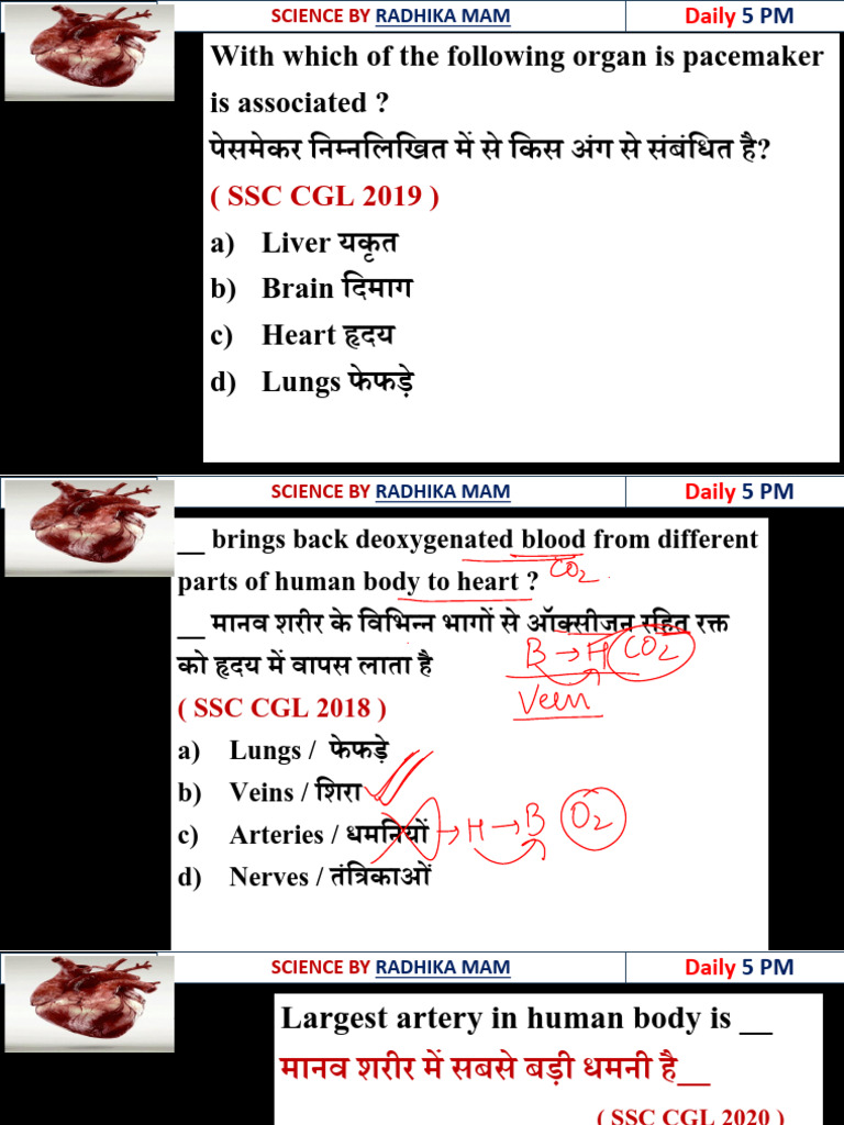 084 Biology Circulatory System Heart Circulatory System | PDF